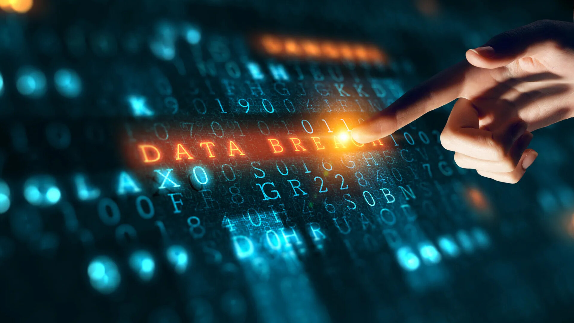 Information technology - Study